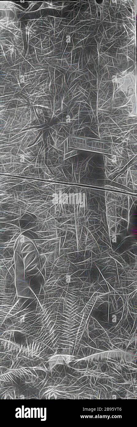 A walker on the track to the head of the yarra near the baw baw plateau ...