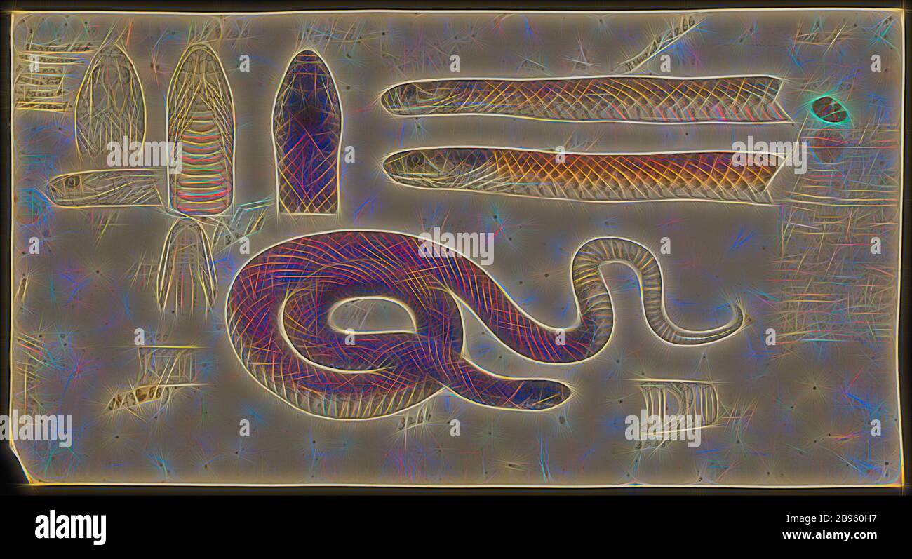 Watercolour illustration - Lowland Copperhead, Austrelaps superbus ...