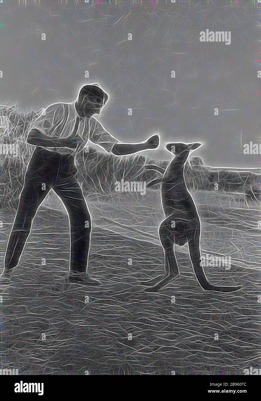Negative - Bill Boyd boxing with his pet kangaroo, Kanga Joe, Nandaly ...