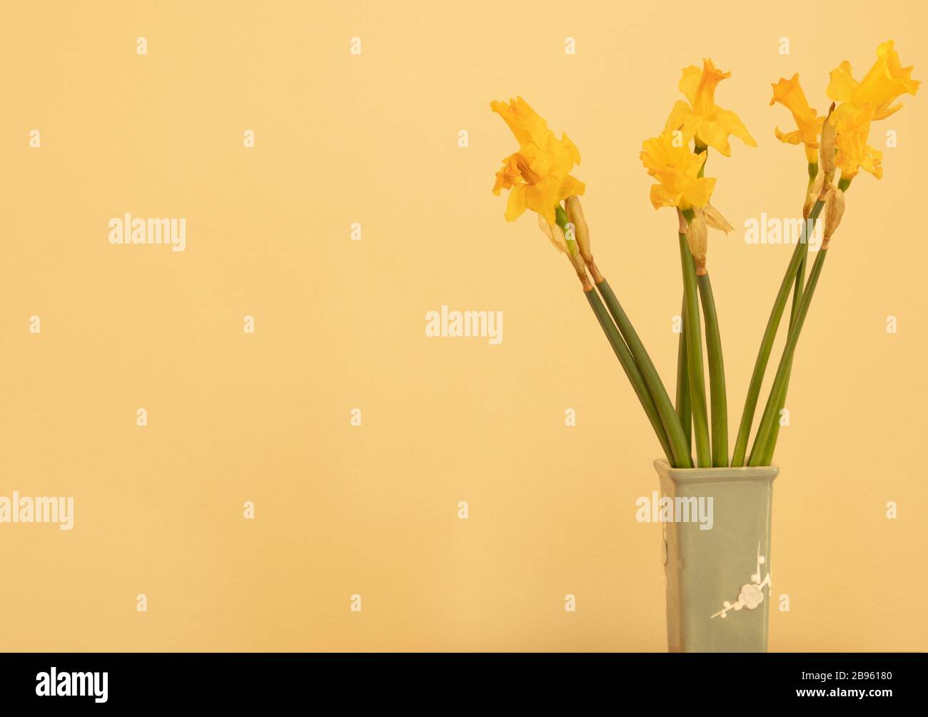 Isolated withering hi-res stock photography and images - Alamy