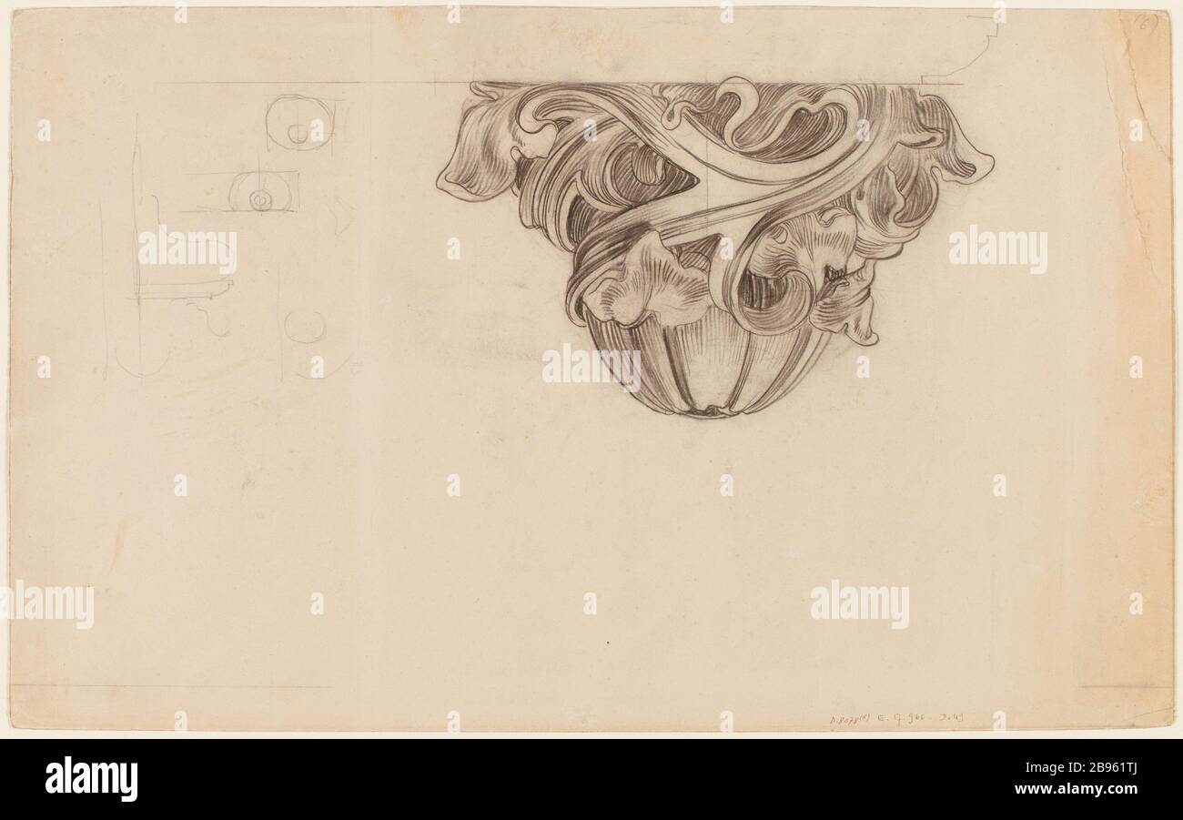 Upper plumage hi-res stock photography and images - Alamy