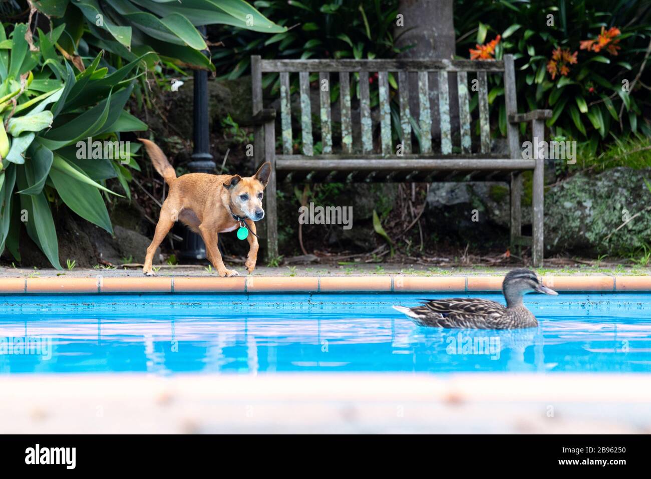 Nonchalant hi-res stock photography and images - Alamy