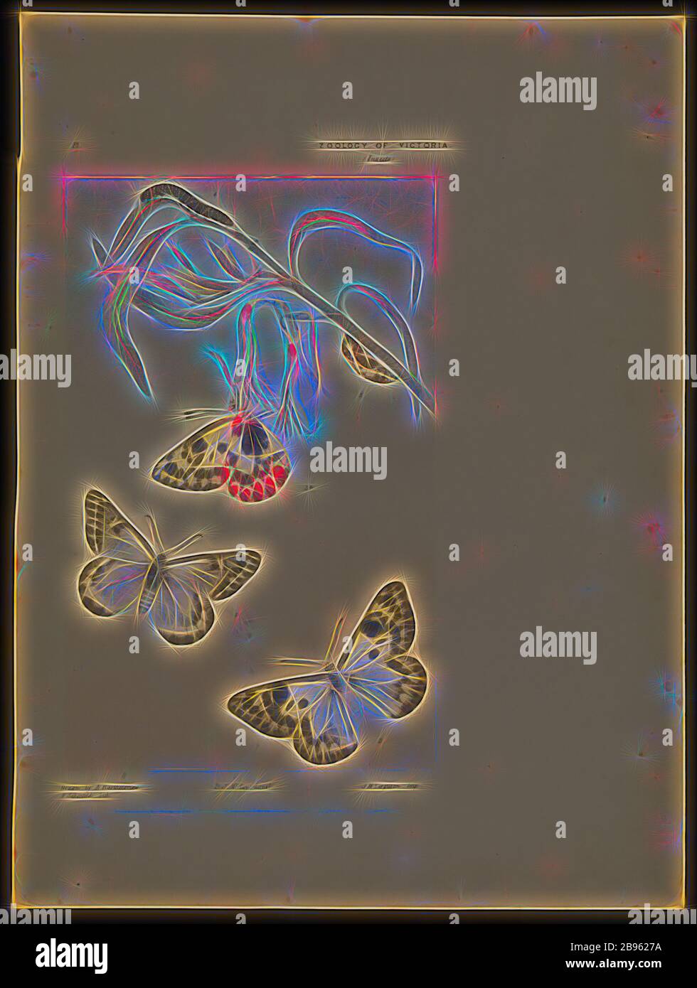 Lithographic Proof - Lithographic Ink on Paper, Colour proof for Plate ...