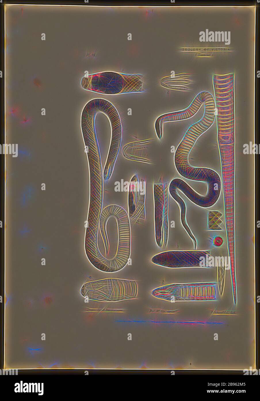 Lithographic Proof - Lithographic Ink & Pencil on Paper of Drysdalia ...