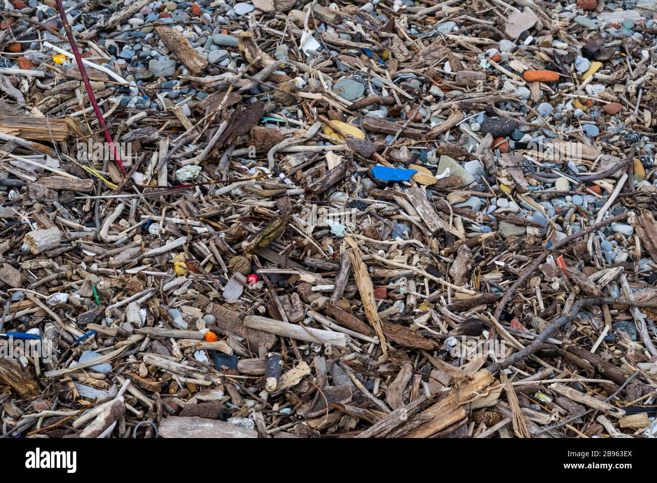 Plastics and other pollution, Lake Ontario shoreline Stock Photo - Alamy