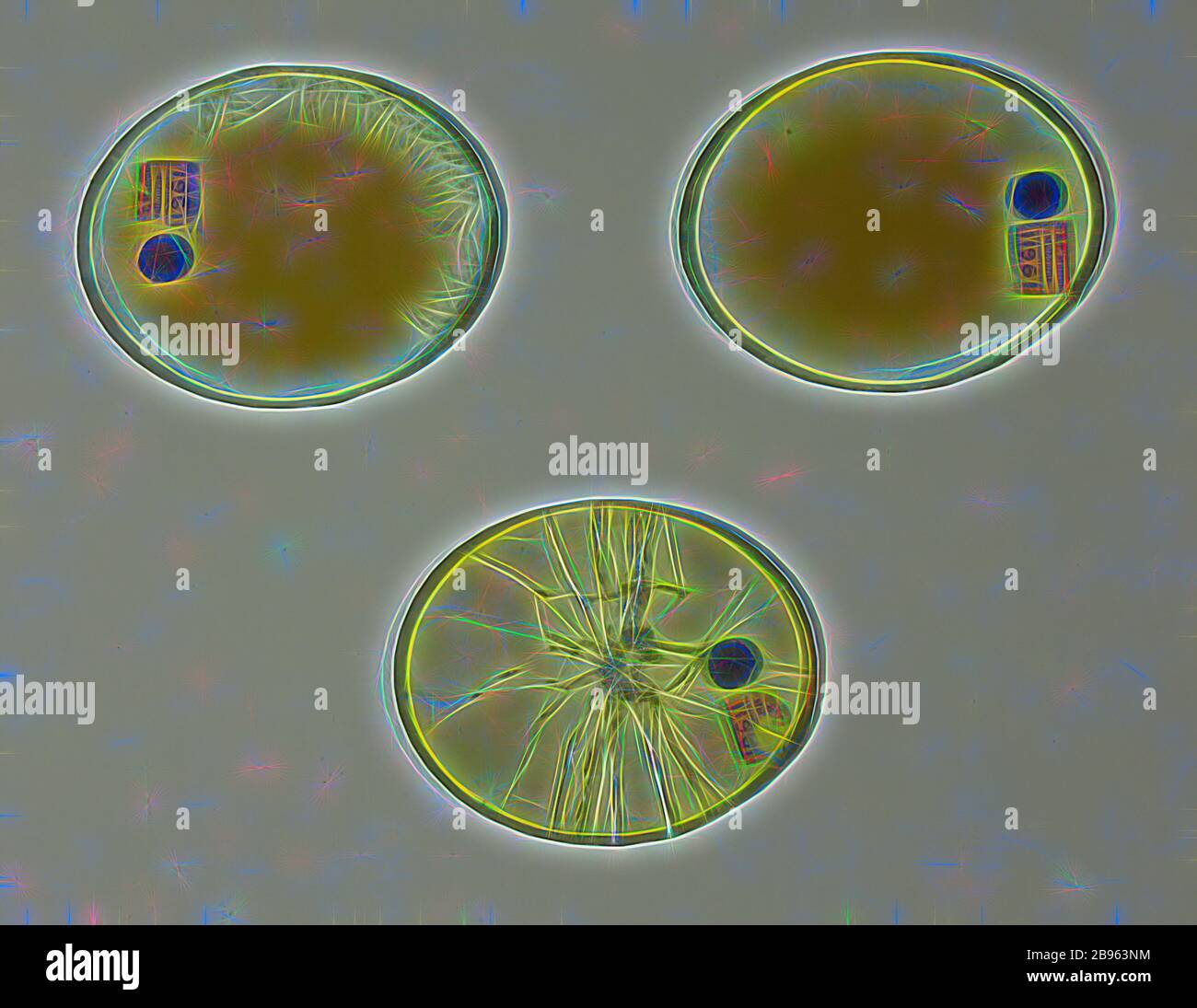 Goggle Glasses - Triplex Safety Glass Co, For Aviator's Goggles, Great ...