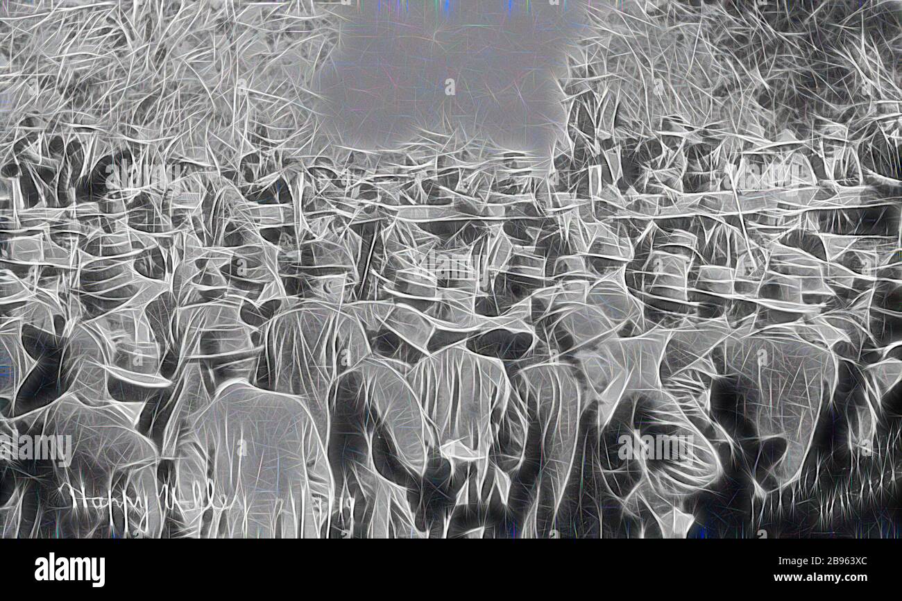 Negative - 'Happy Valley', Myrtleford, Victoria, 21 Mar 1919, Clearing ...