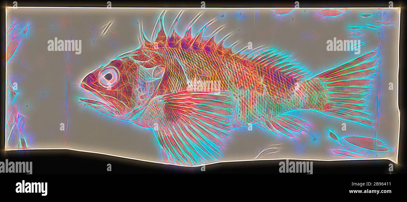 Teh victorian coast hi-res stock photography and images - Alamy