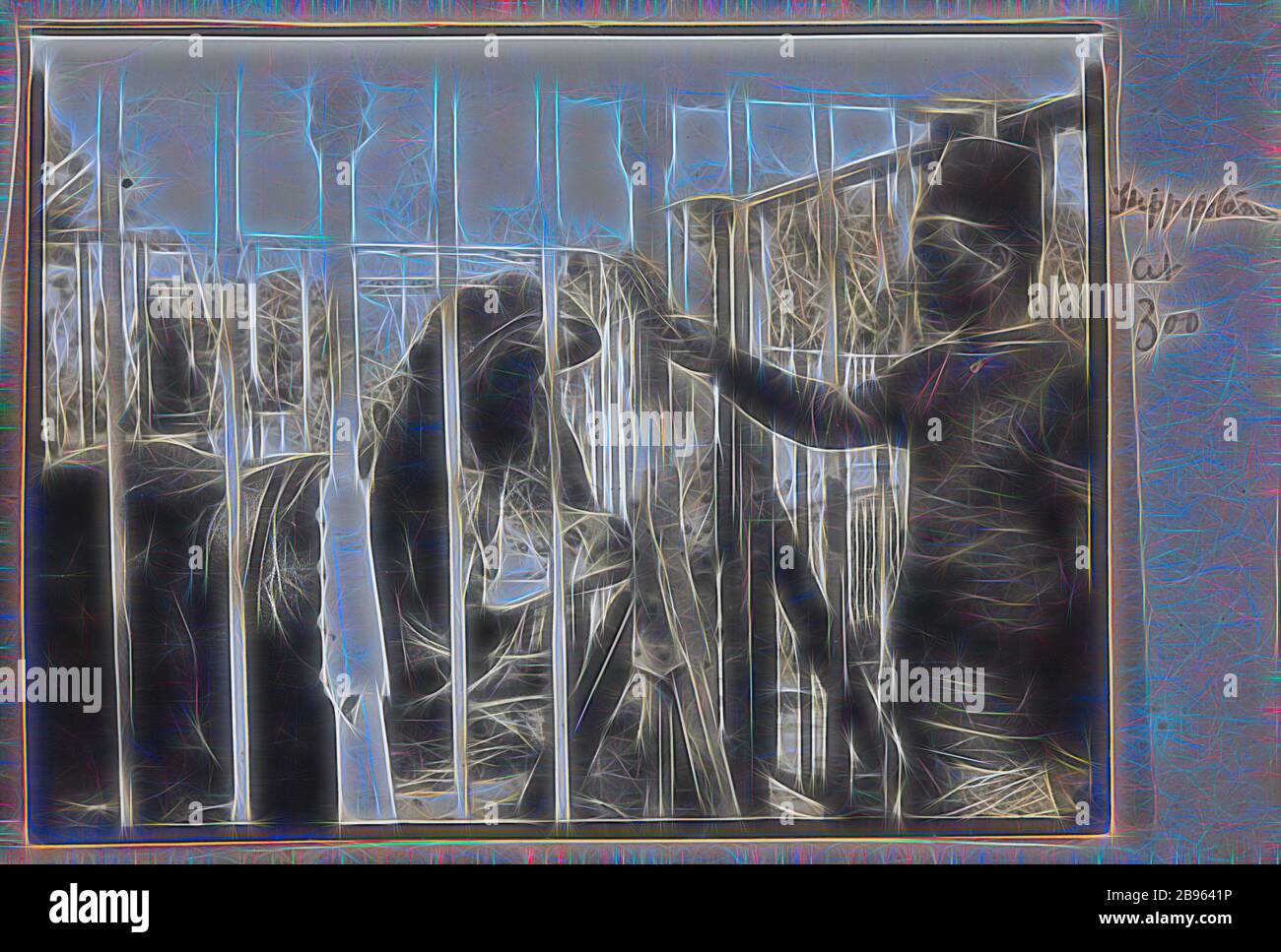 Photograph - 'Hippopotamus at Zoo', Egypt, Captain Edward Albert ...