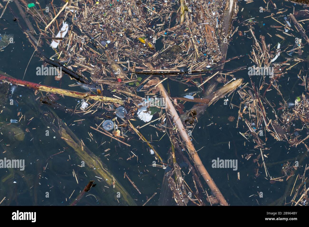 Plastics and other pollution, Lake Ontario shoreline Stock Photo - Alamy