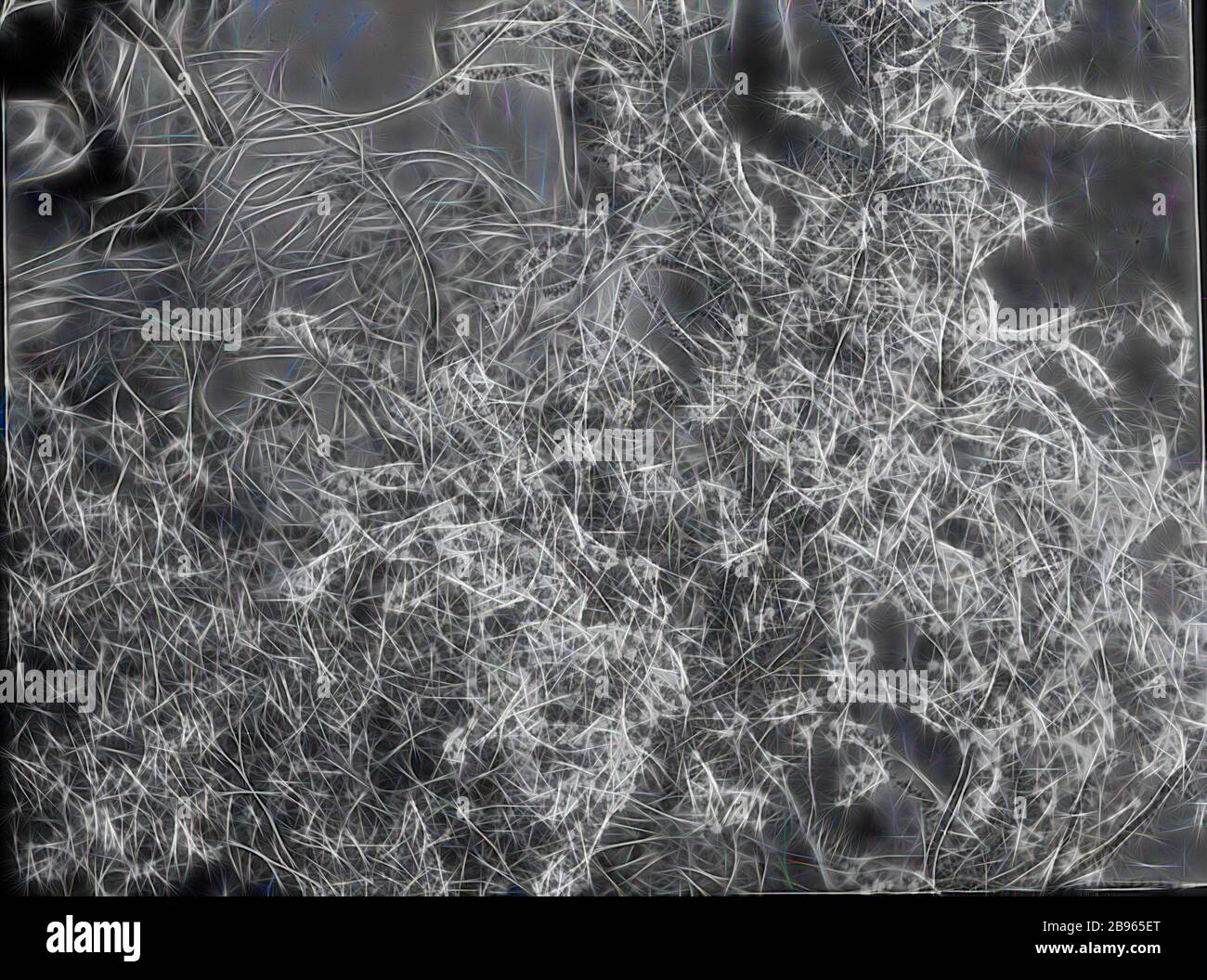 Fumina hi-res stock photography and images - Alamy