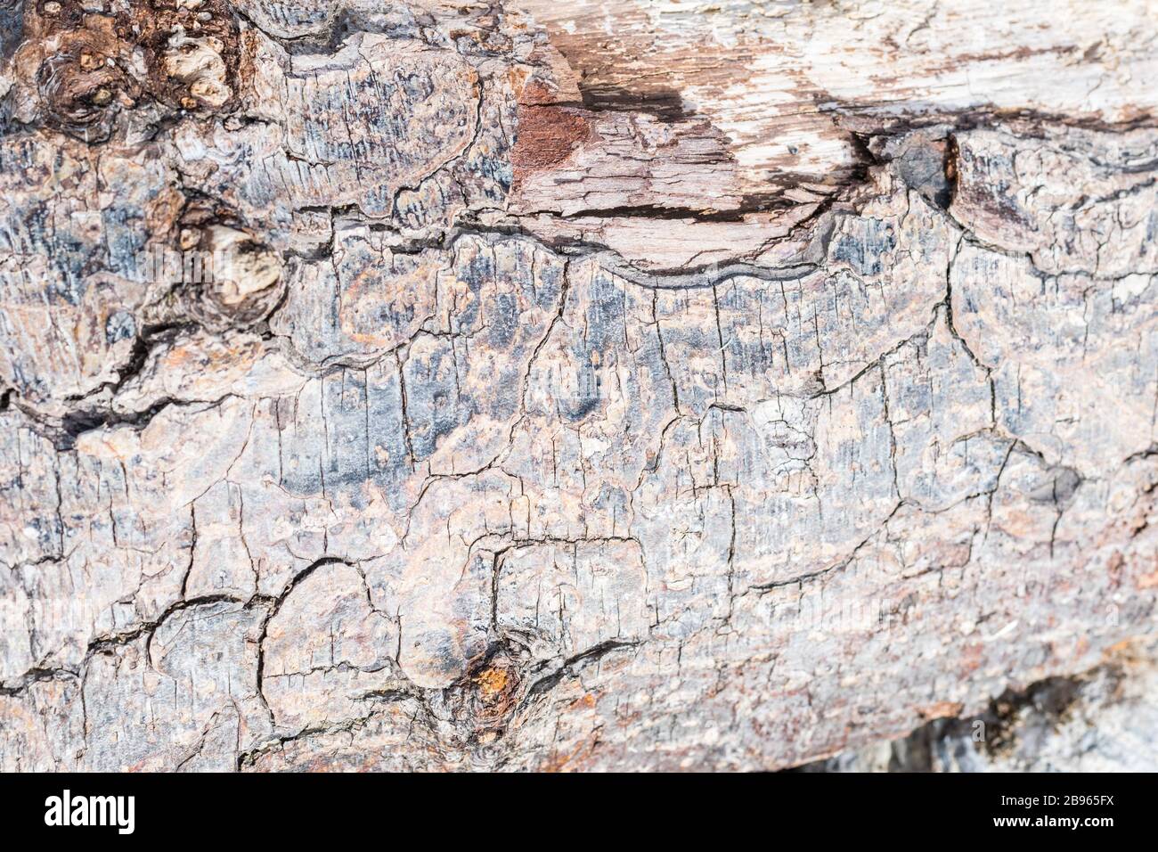 Wood texture patterns hi-res stock photography and images - Alamy