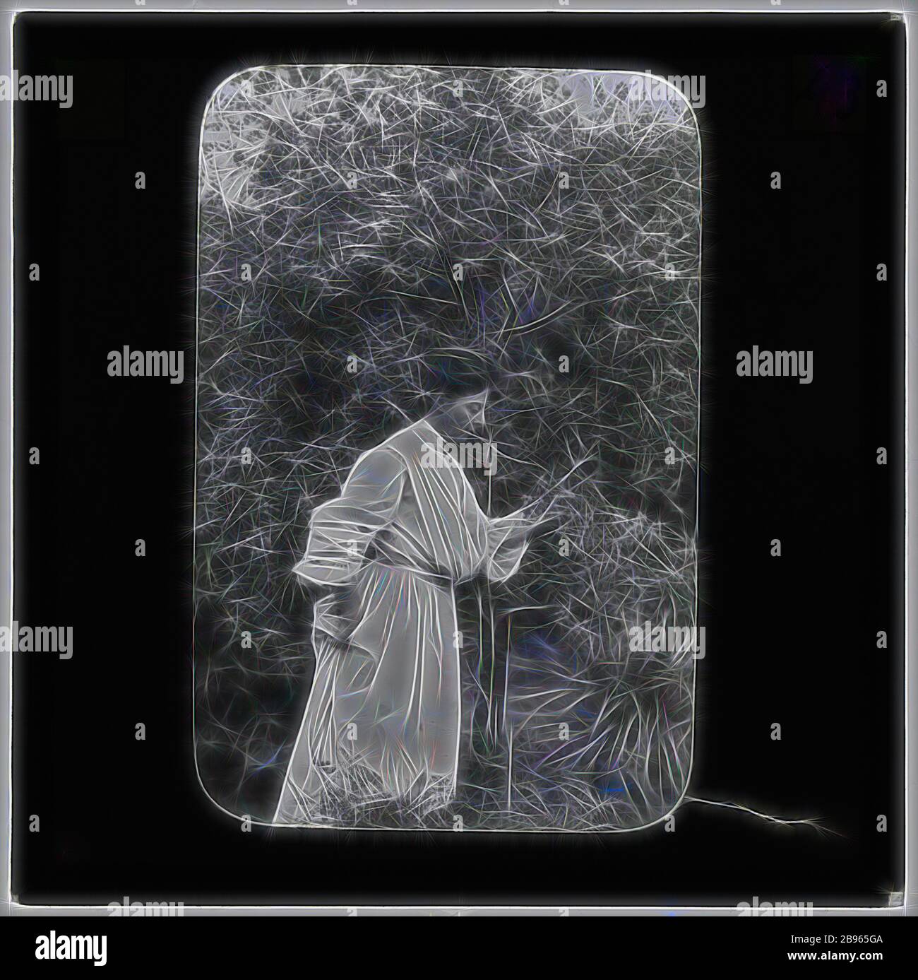 Lantern Slide - 'Amy Campbell with Wattle', Archibald James Campbell ...
