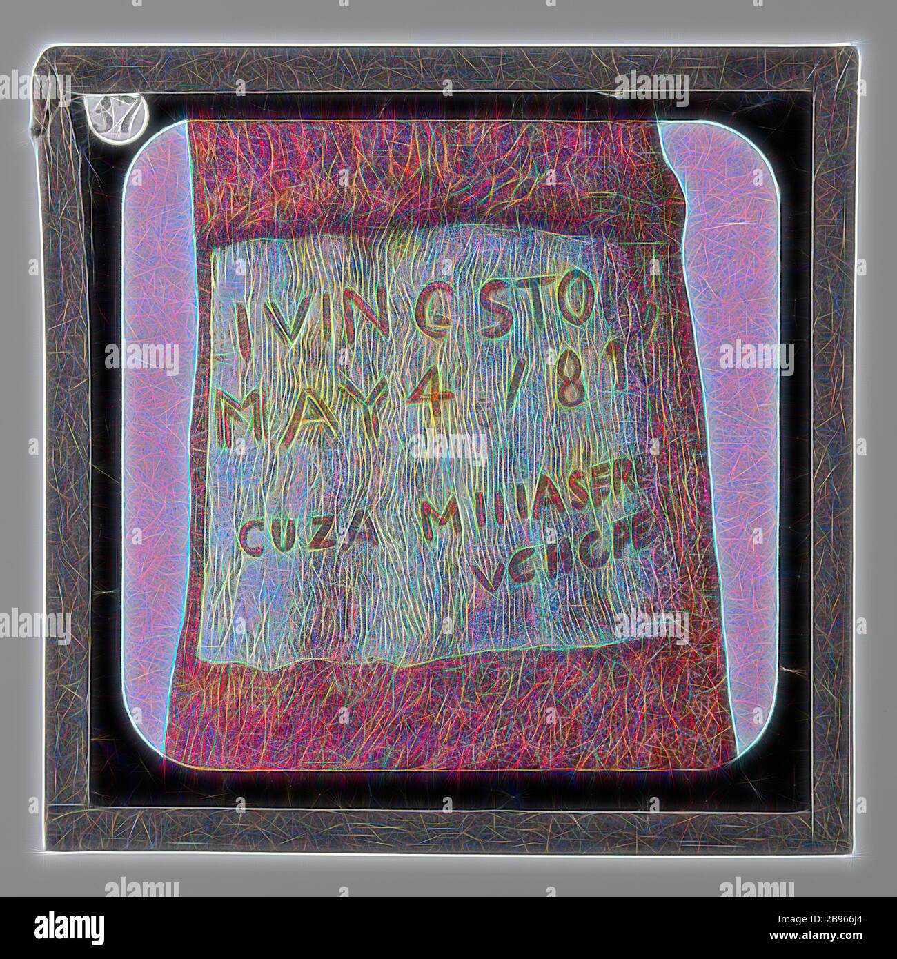 Lantern Slide - Inscription on Tree, Life & Work of Dr David ...