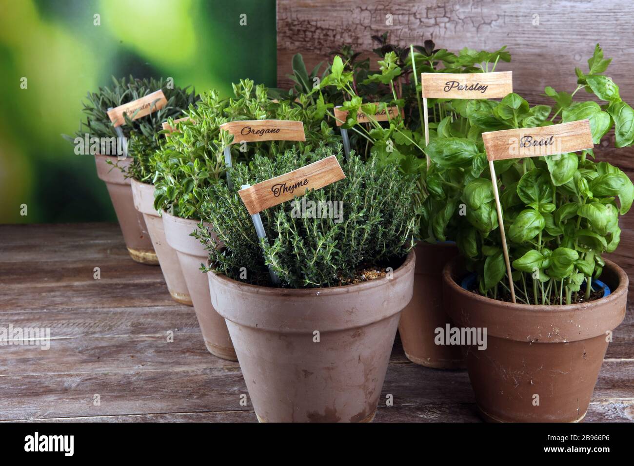 Clay plant labels hi-res stock photography and images - Alamy