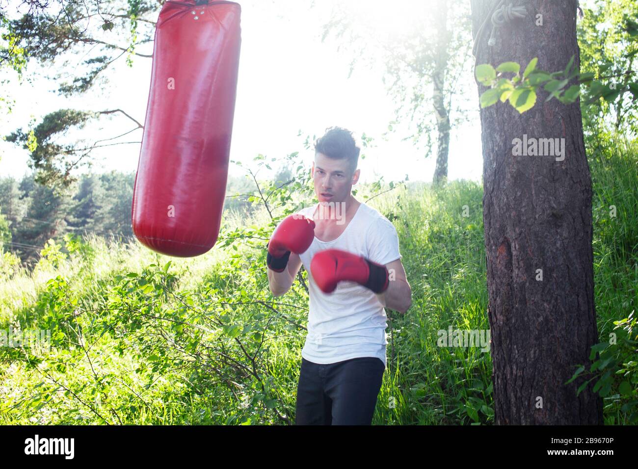 young caucasian guy boxing in gloves outside in green park, lifestyle ...