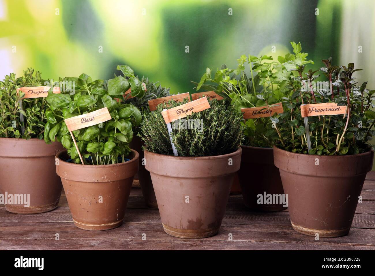 Clay plant labels hi-res stock photography and images - Alamy