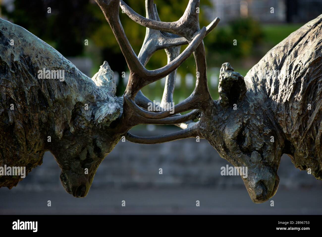 Killarney Monument High Resolution Stock Photography and Images - Alamy