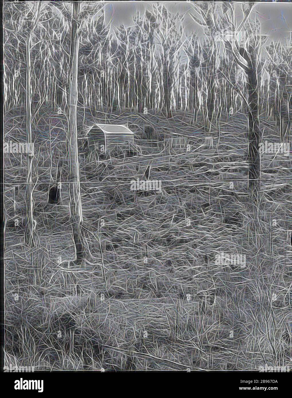 Lantern Slide - Sassafras, Victoria, Date Unknown, Black and white ...