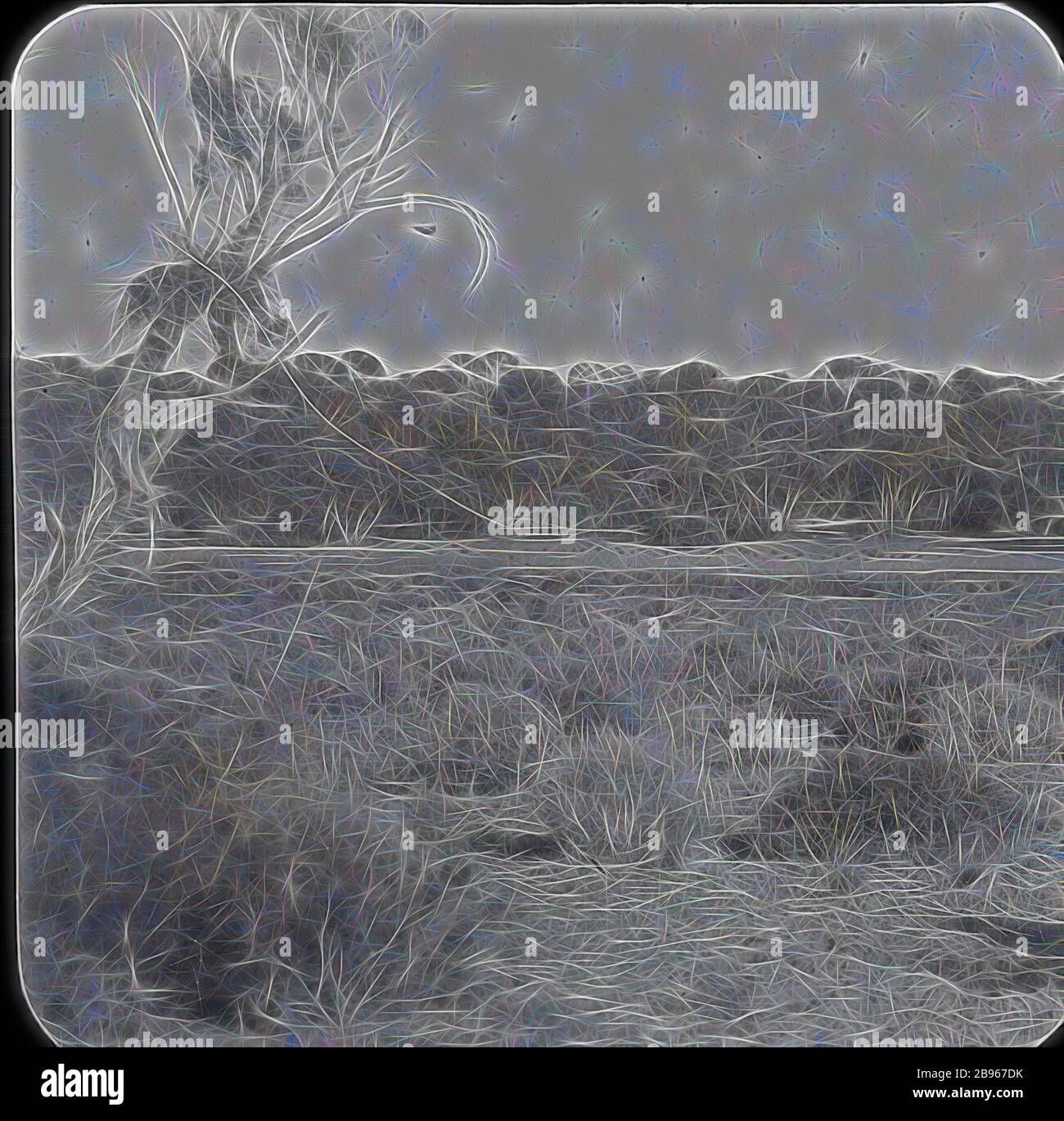 Scrub turpentine hi-res stock photography and images - Alamy