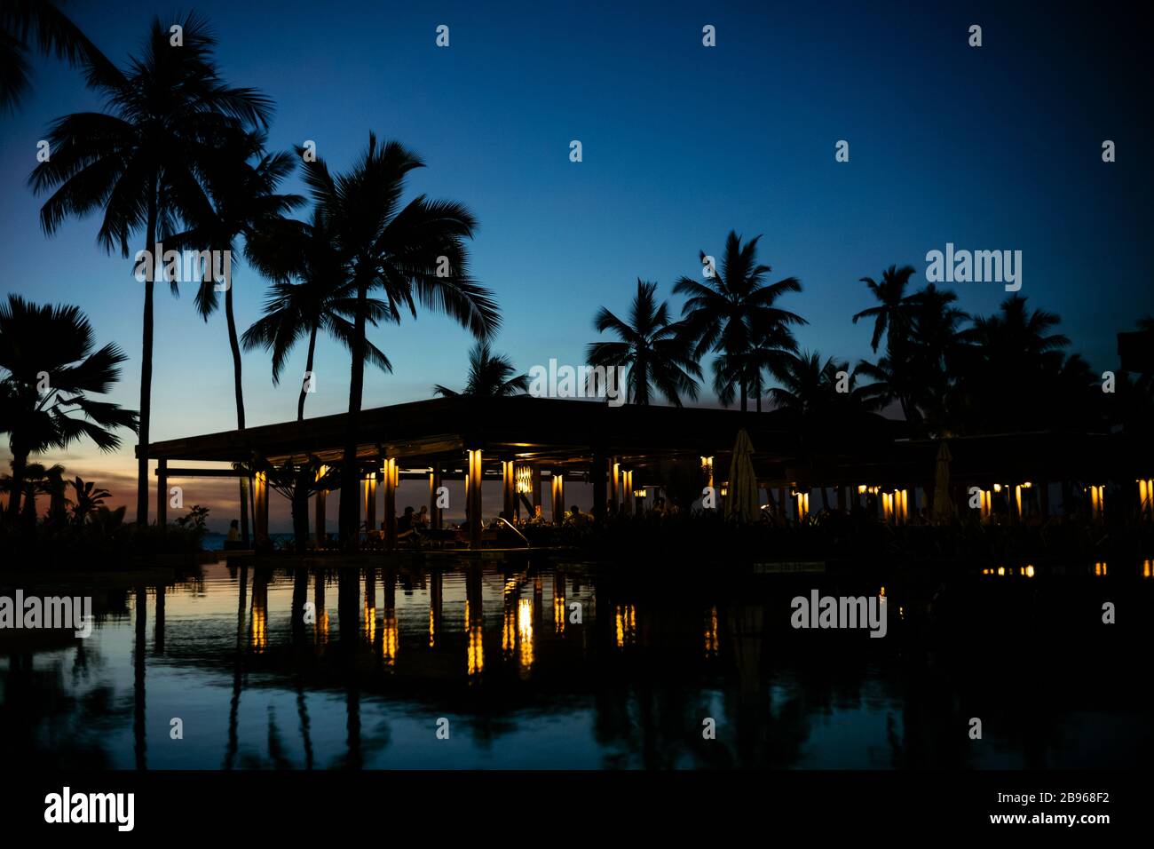 Resort palm trees hi-res stock photography and images - Alamy