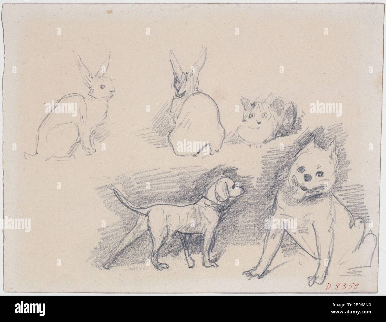 Monsieur le chien hi-res stock photography and images - Alamy