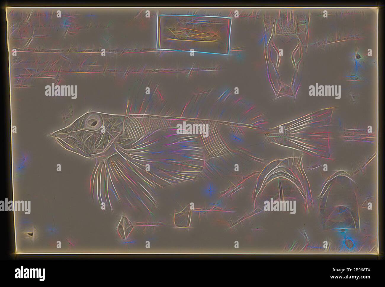 Museums ichthyology collection hi-res stock photography and images - Alamy