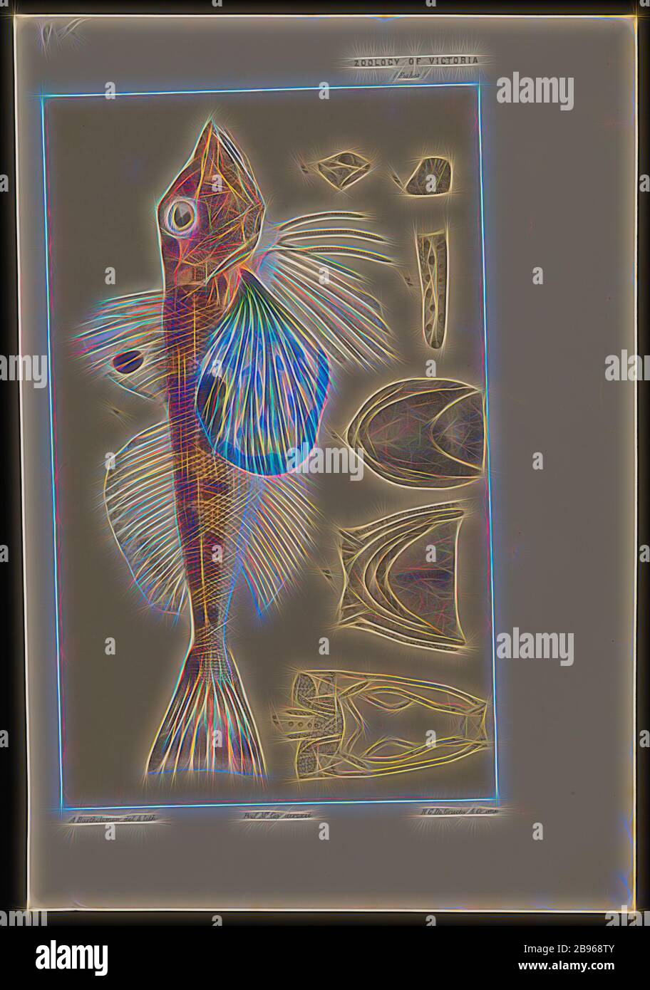 Full colour proof hi-res stock photography and images - Alamy