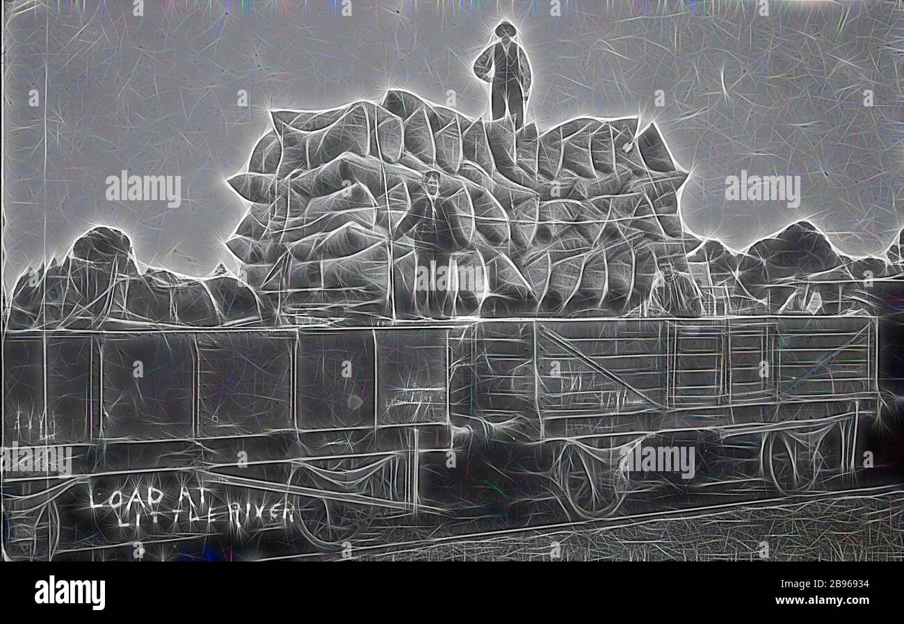 Negative - Little River, Victoria, circa 1915, Transferring chaff from ...