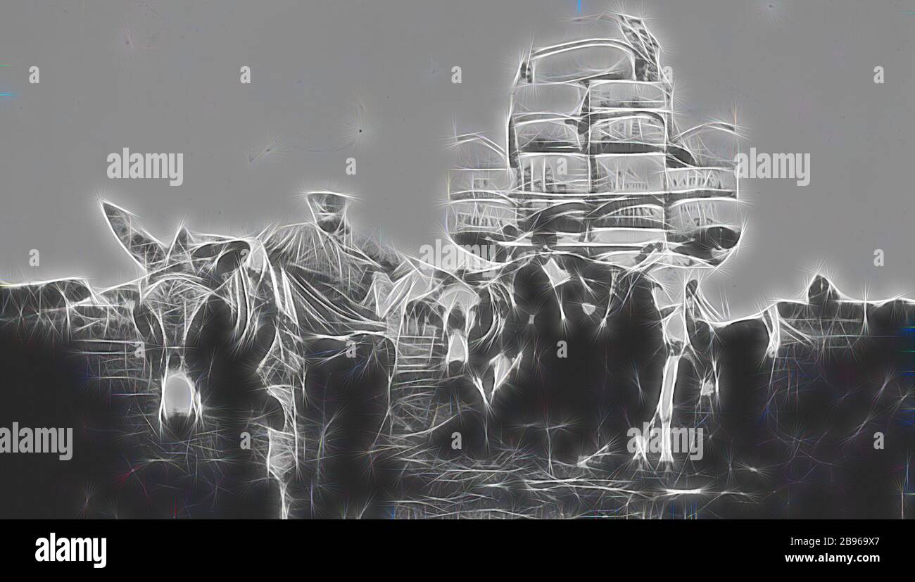 Donkey team hi-res stock photography and images - Alamy