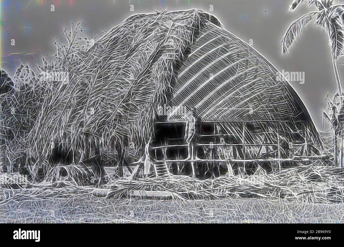 Negative - Construction of Thatched Building, Pacific Islands, circa ...