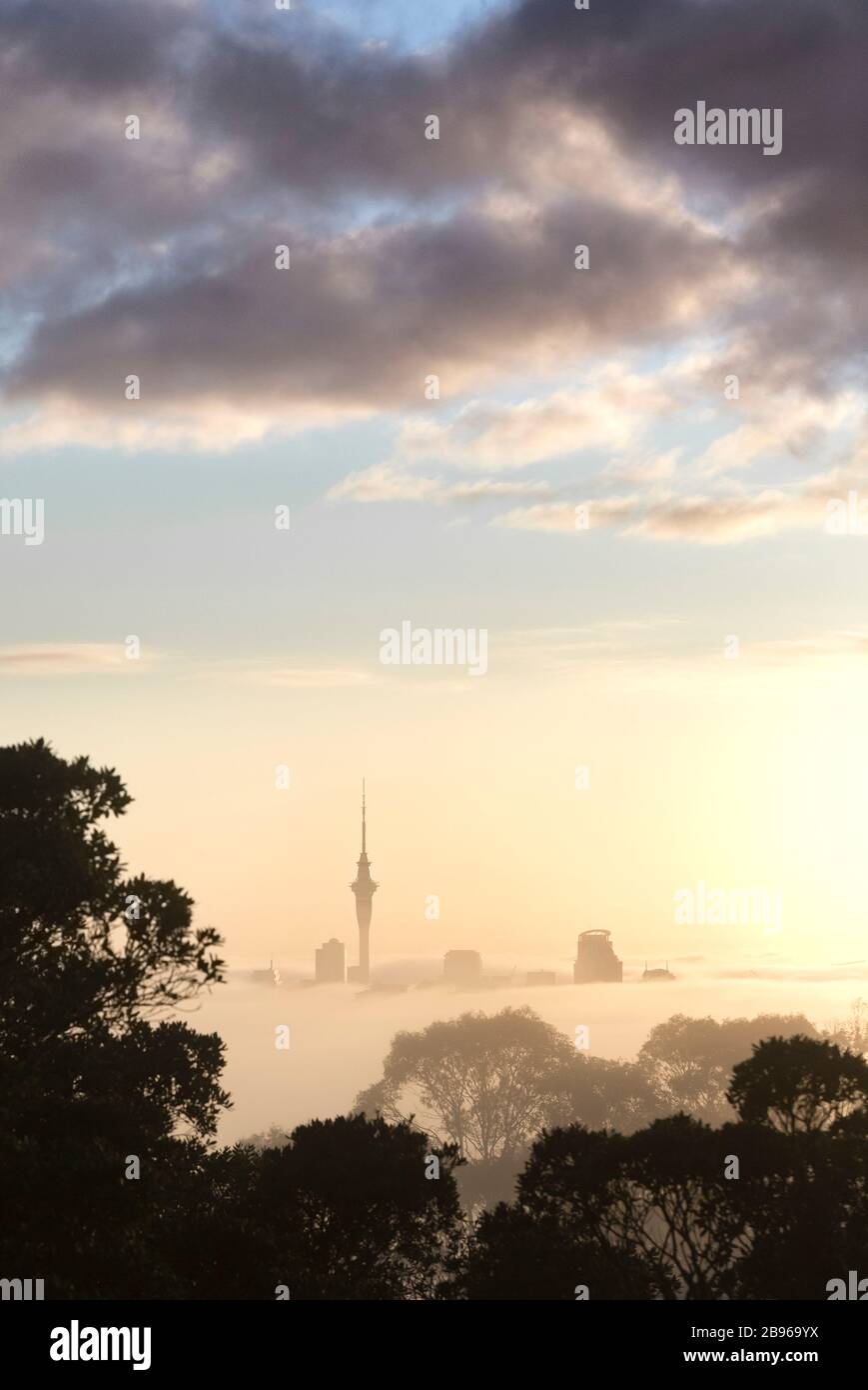 The Sky Tower in early morning fog as seen from Mount Albert, Auckland Stock Photo - Alamy