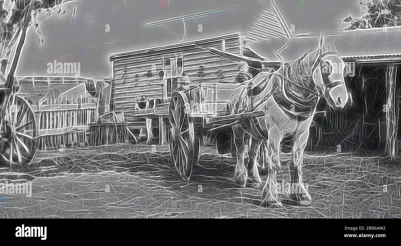 Negative - Man & Child With Horse & Cart, Shelford, Victoria, circa ...