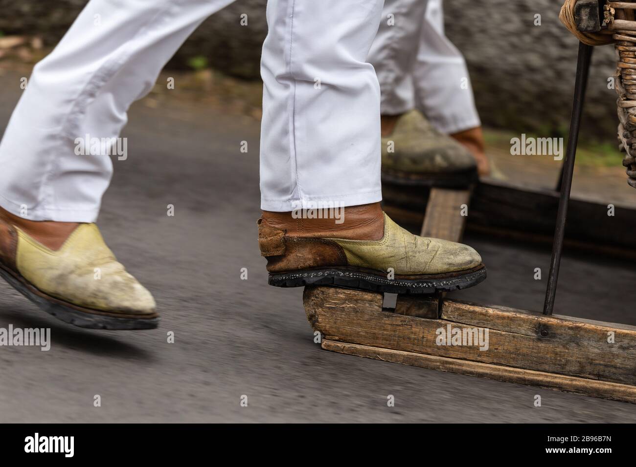 Close up of a rider of the traditional downhill sledge, "carrinhos de ...