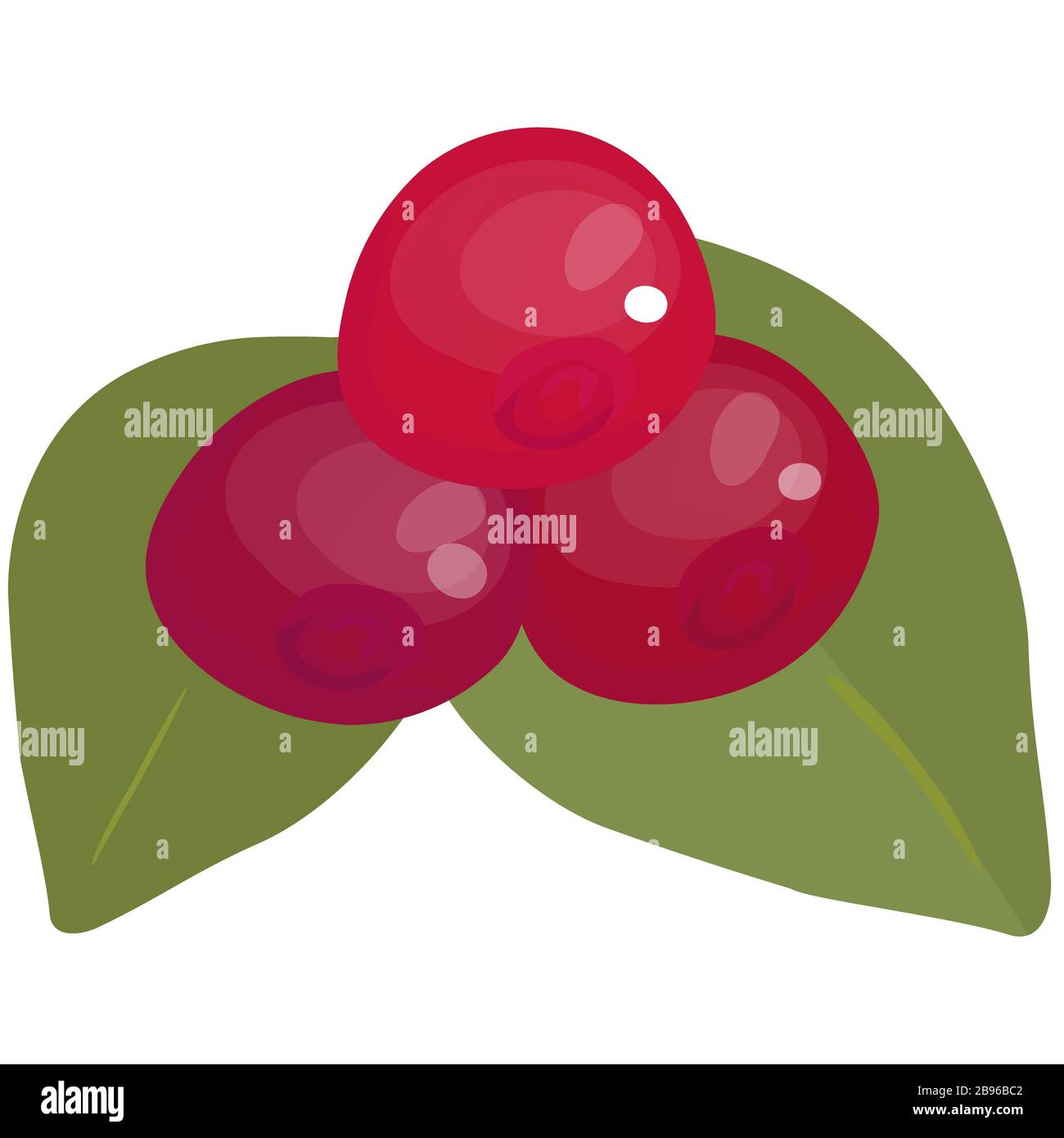 Pink cherry blossom garden Cut Out Stock Images & Pictures - Alamy