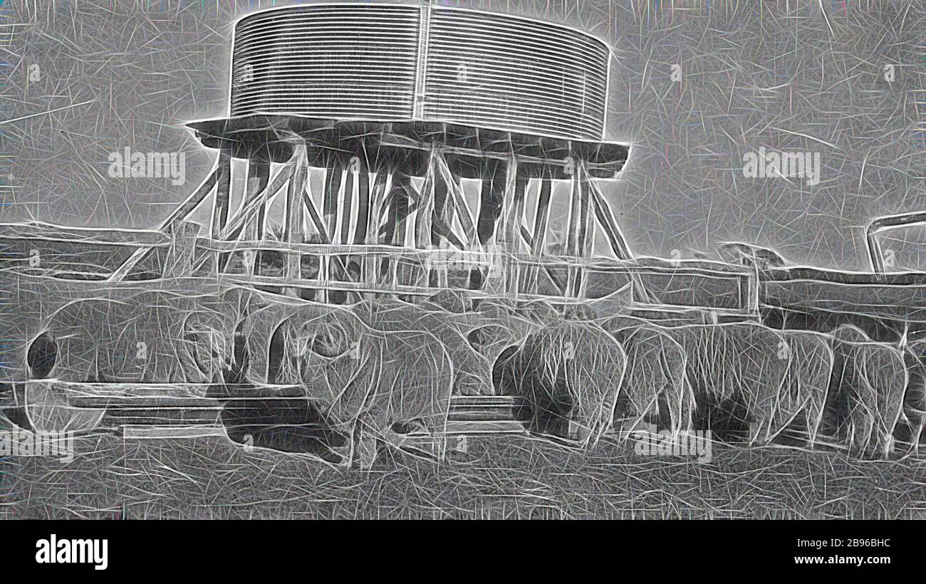 Negative - Sheep at a Water Trough on 'Portland Downs' Station ...