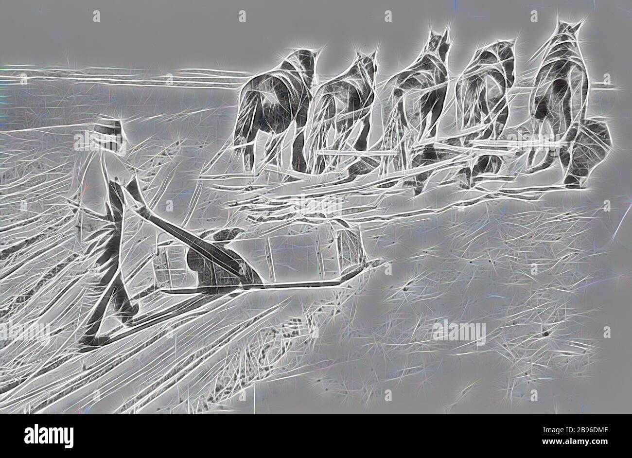 Negative - Jack McRae using a Buck-scraper, Victoria, by Bill Boyd ...