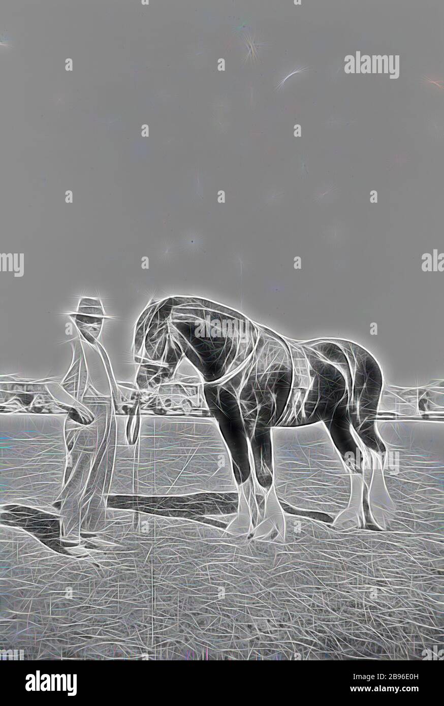 Negative - Manangatang, Victoria, circa 1935, Man with a prize stallion ...