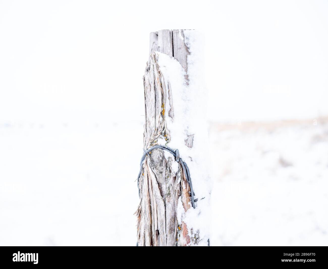 Fence Post in the snow Stock Photo - Alamy