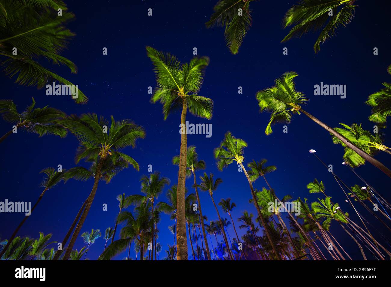 Tropical Night Sky, Coconut palm trees and stars Stock Photo - Alamy