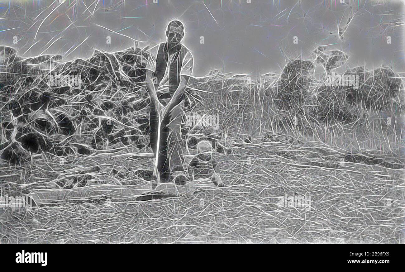 Mallee roots hi-res stock photography and images - Alamy