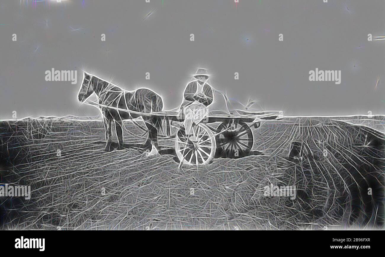 Negative - Mallee, Victoria, circa 1930, A man seated on a dray in a ...