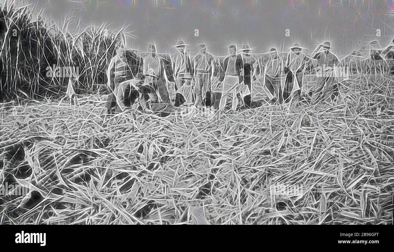 Cane cutters team hi-res stock photography and images - Alamy