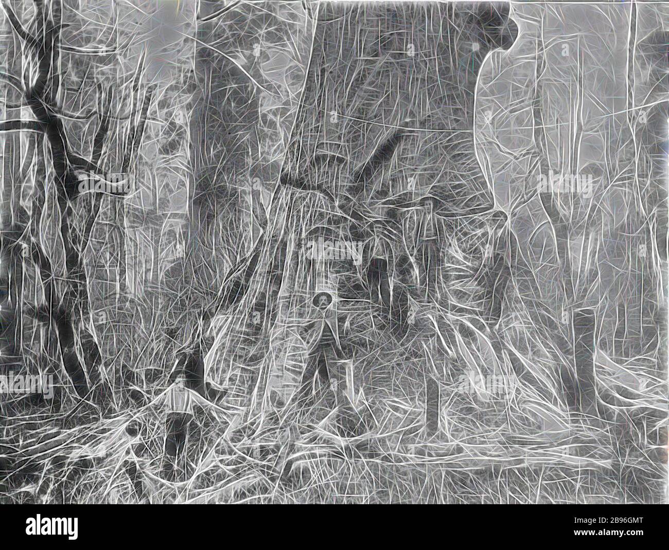 Negative - Balook, Victoria, circa 1895, The men of the Cook family ...