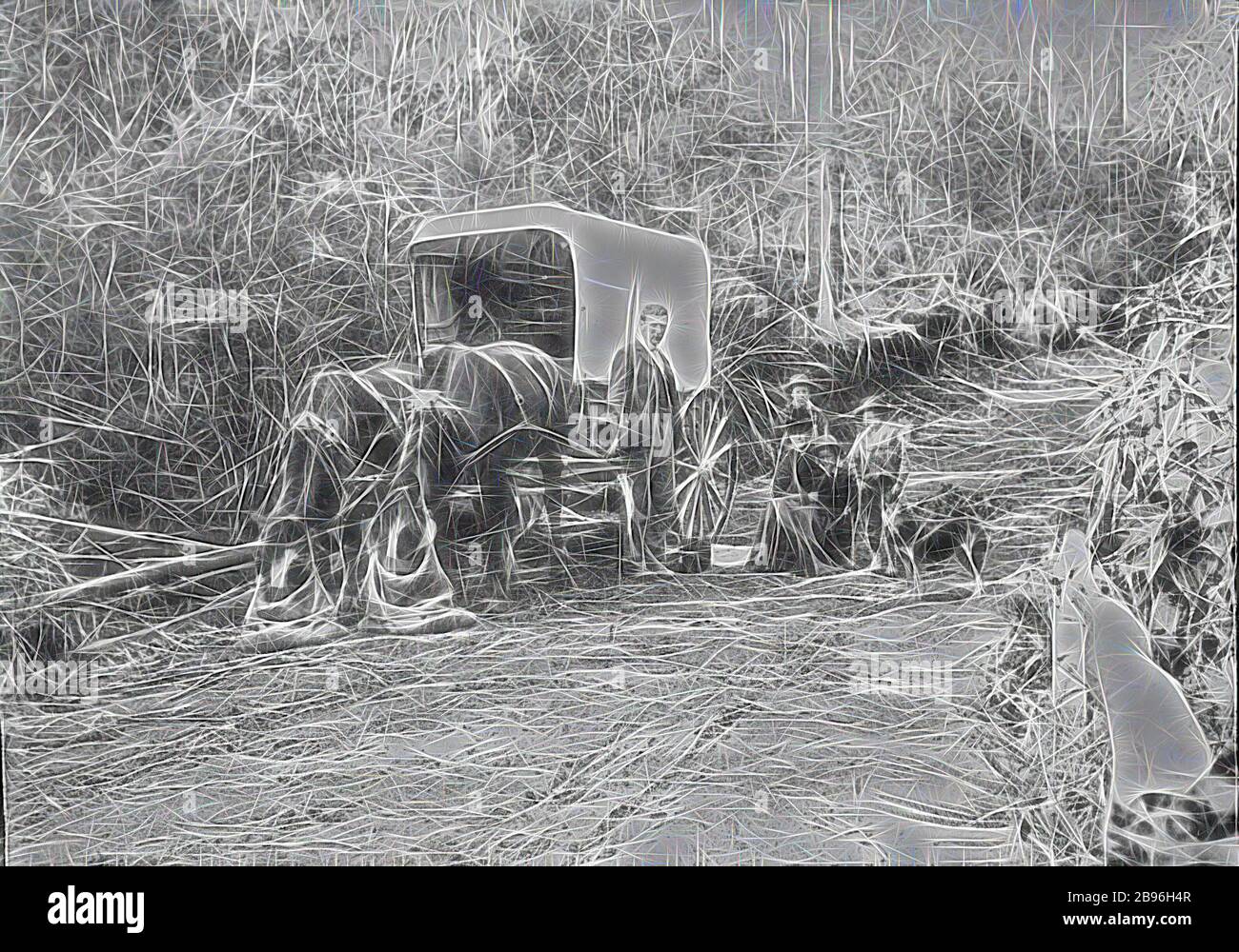 Yan yean district hi-res stock photography and images - Alamy