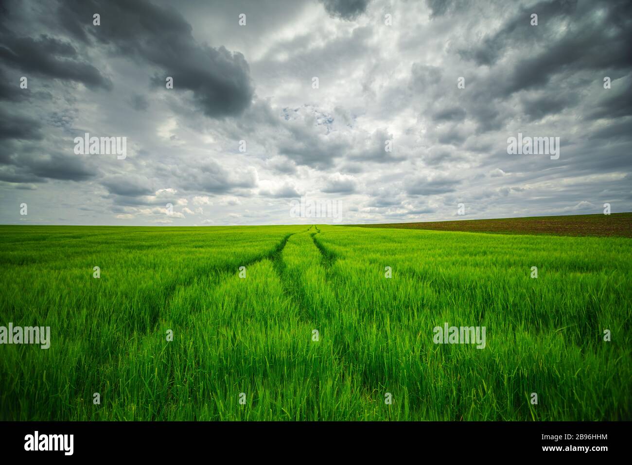 Agricultural fields and dramatic clouds Stock Photo - Alamy
