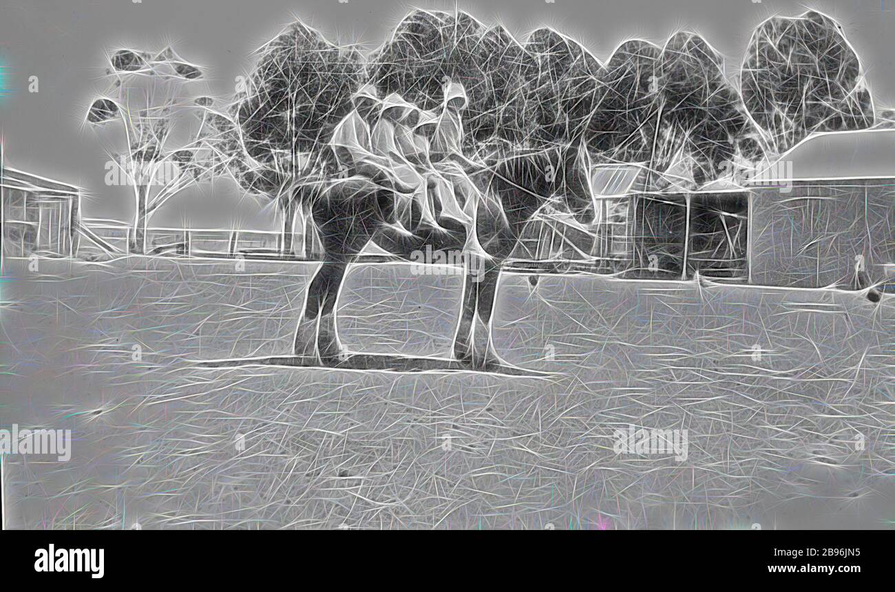 Negative - Dooen, Victoria, 1926, Five children of the Puls family on a ...