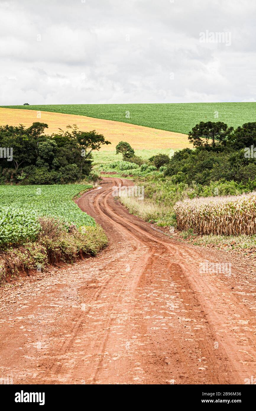 Brazilian roads hi-res stock photography and images - Alamy