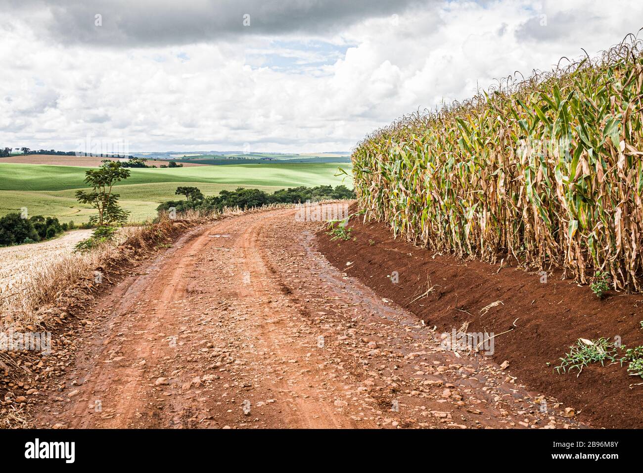 Dirt road in countryside of southern Brazil. Ouro Verde, Santa Catarina ...