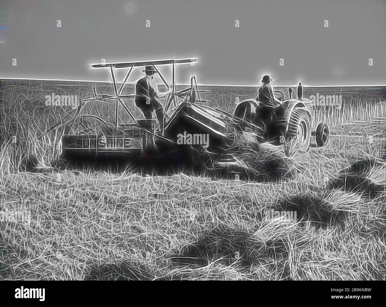 no 373 reaping flax on the farm of mr stan drayton geelong district the ...